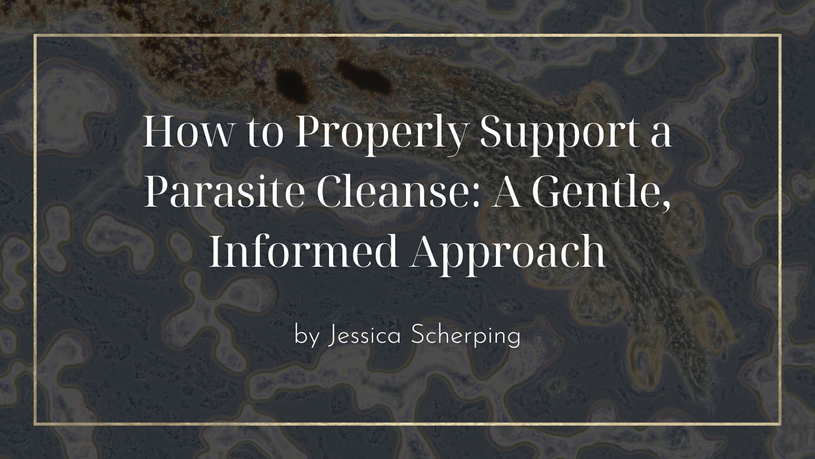 How to Properly Support a Parasite Cleanse: A Gentle, Informed Approac ...